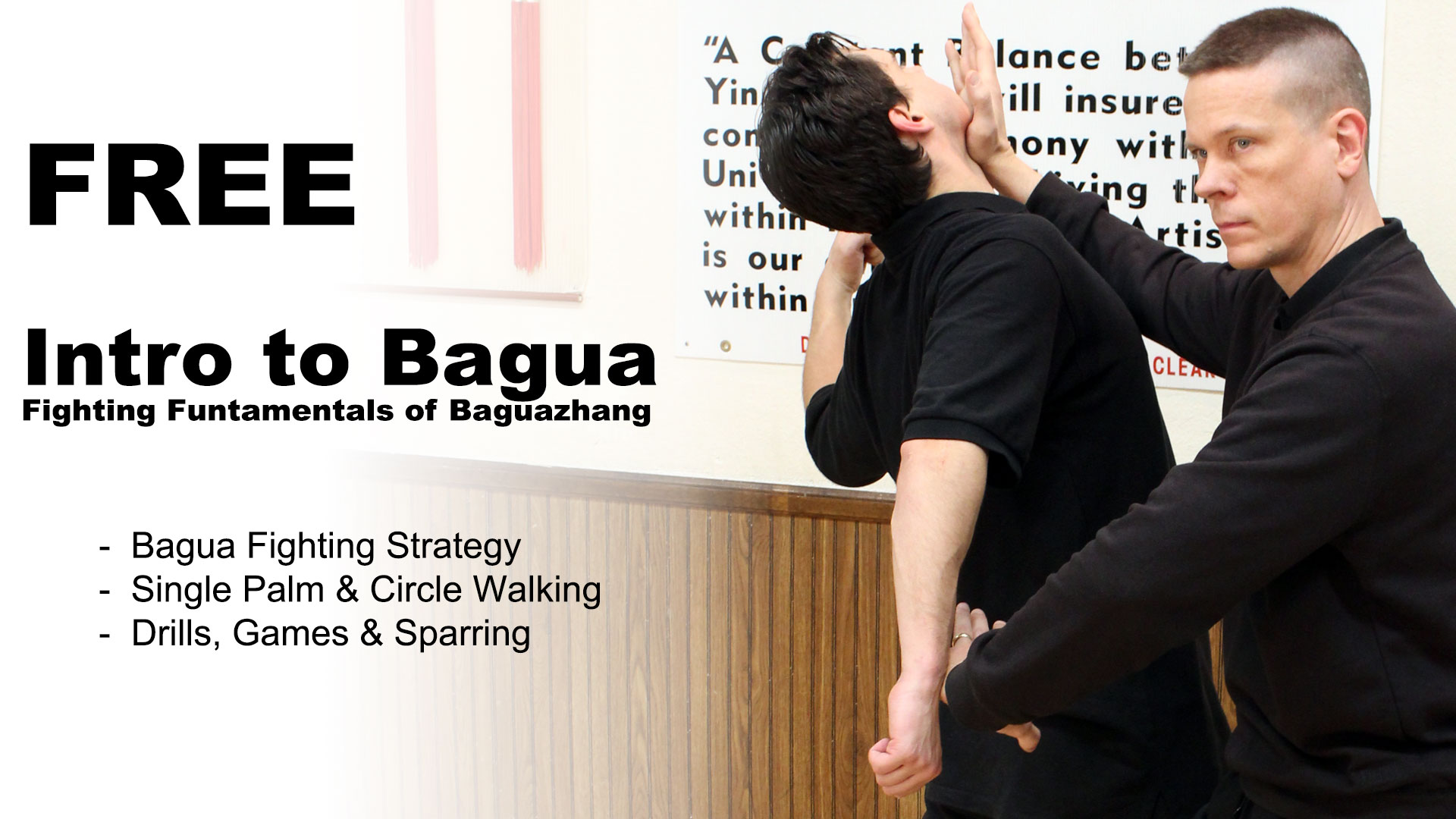 Free Intro to Bagua Fighting Fundamentals - Clear Martial Arts